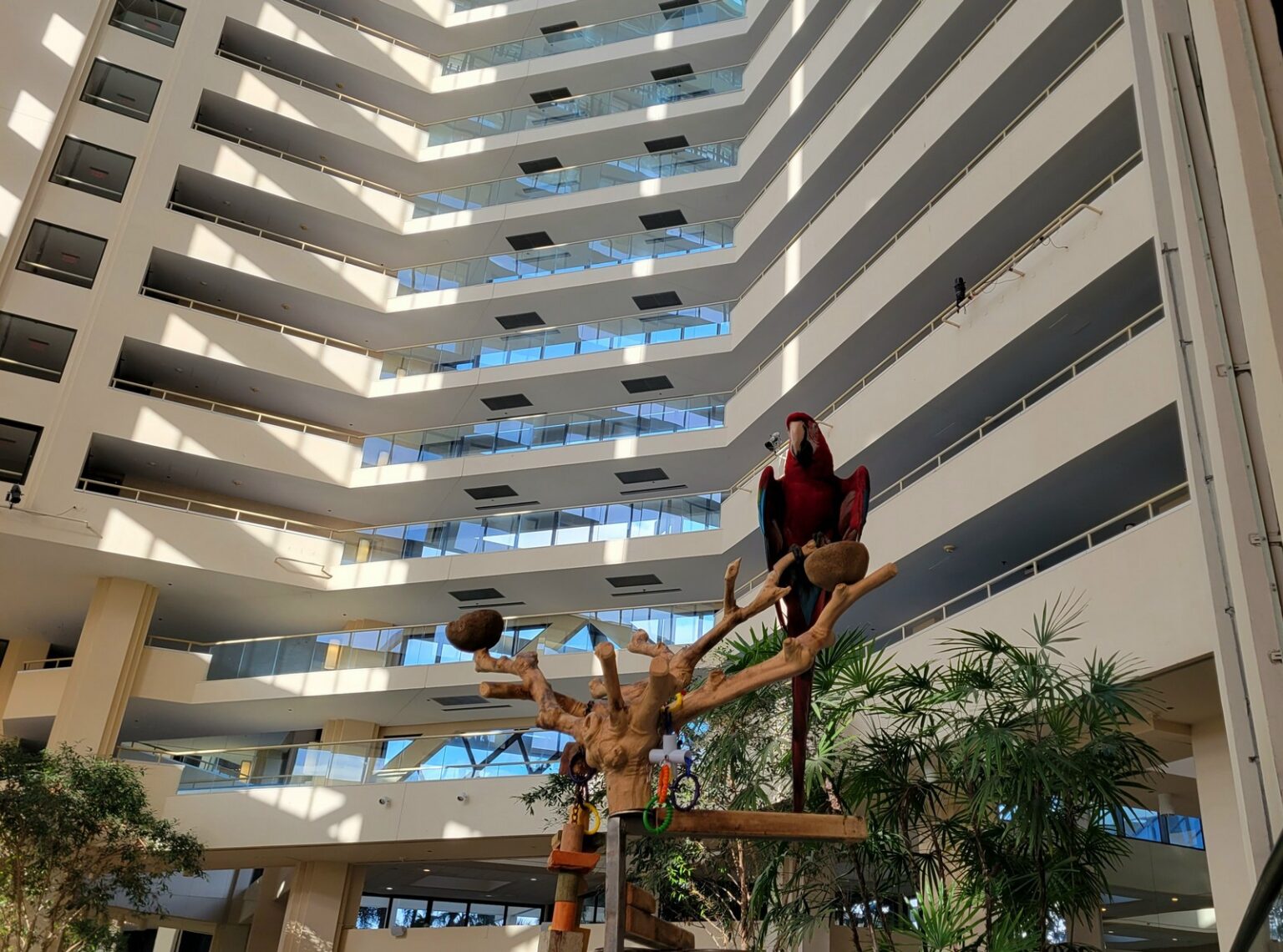 Best USA Hyatts for Families: 8 Great Redemption Options