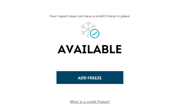 Freezing Your Credit Report Before A Capital One Application