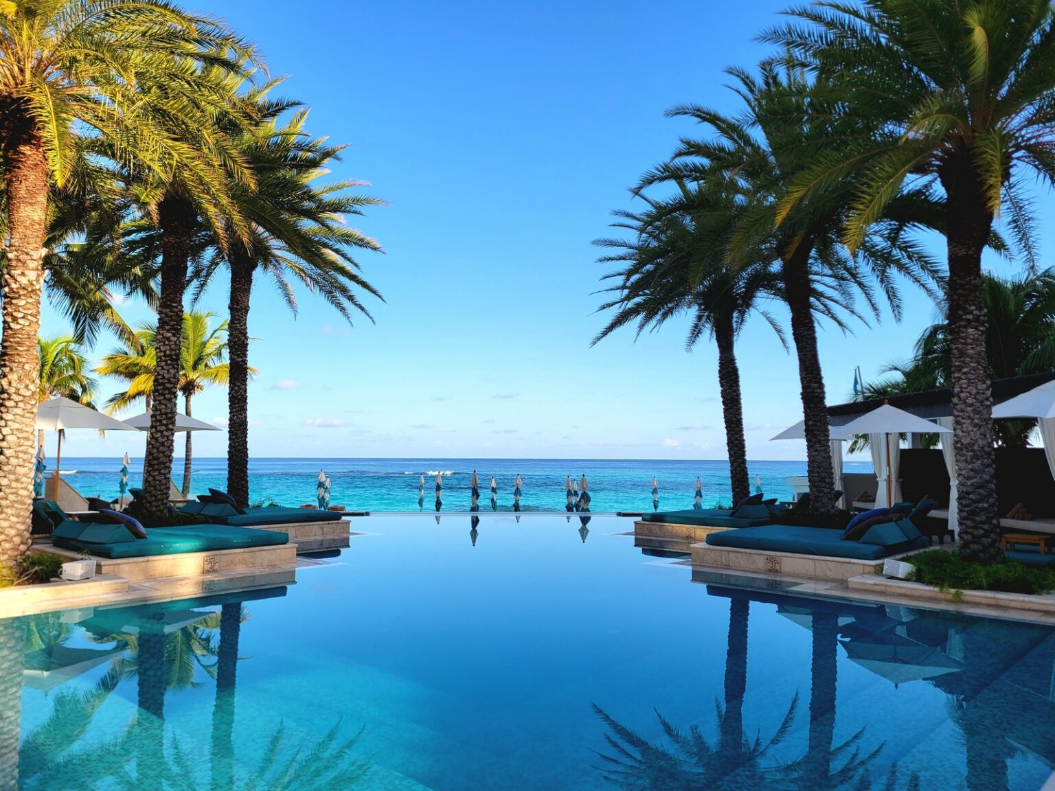Hilton Flexible Calendar Search: How To Use This Great Feature